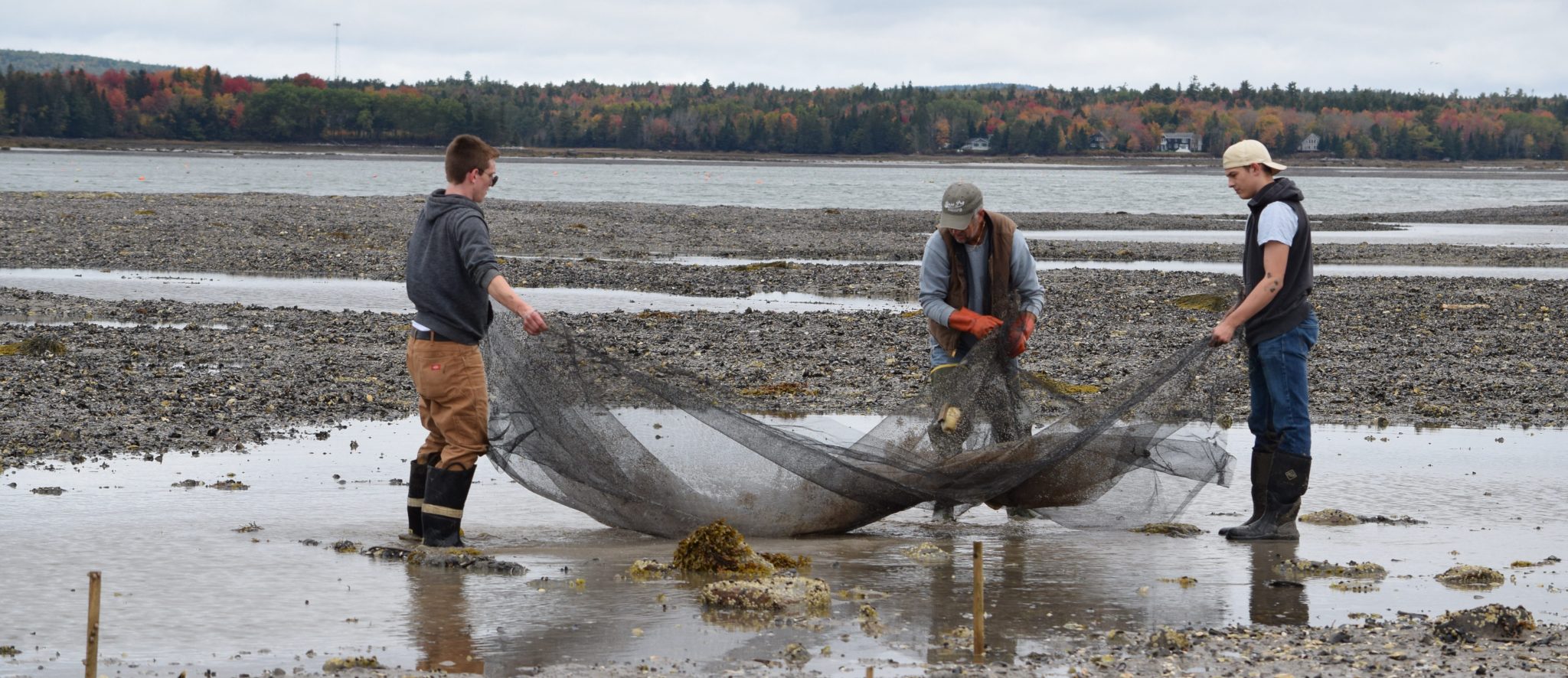 Community Science Education | Schoodic Institute
