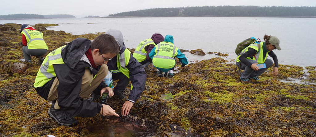 Marine Ecology | Schoodic Institute