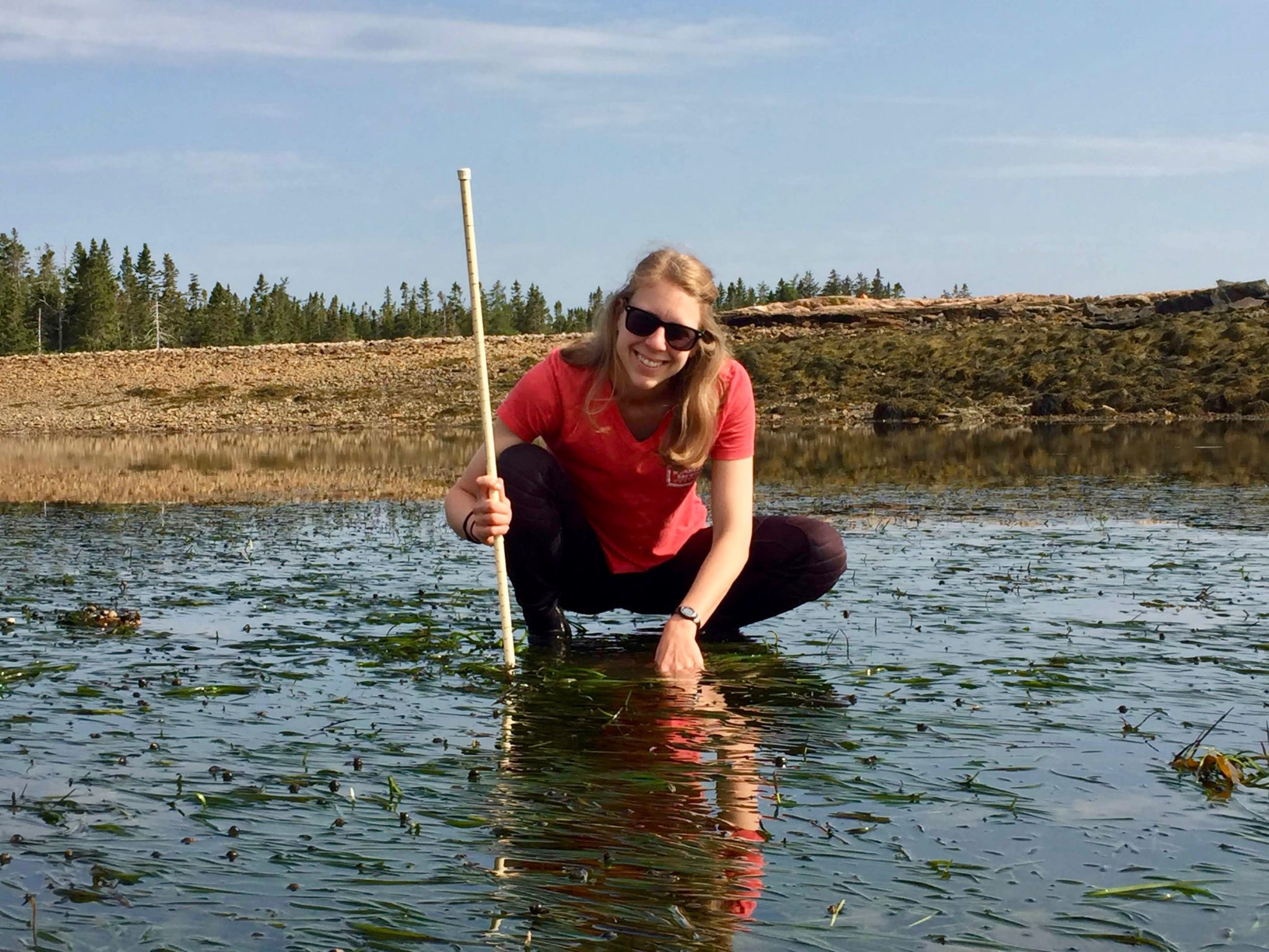 Research in Acadia: 2019 Year in Review | Schoodic Institute