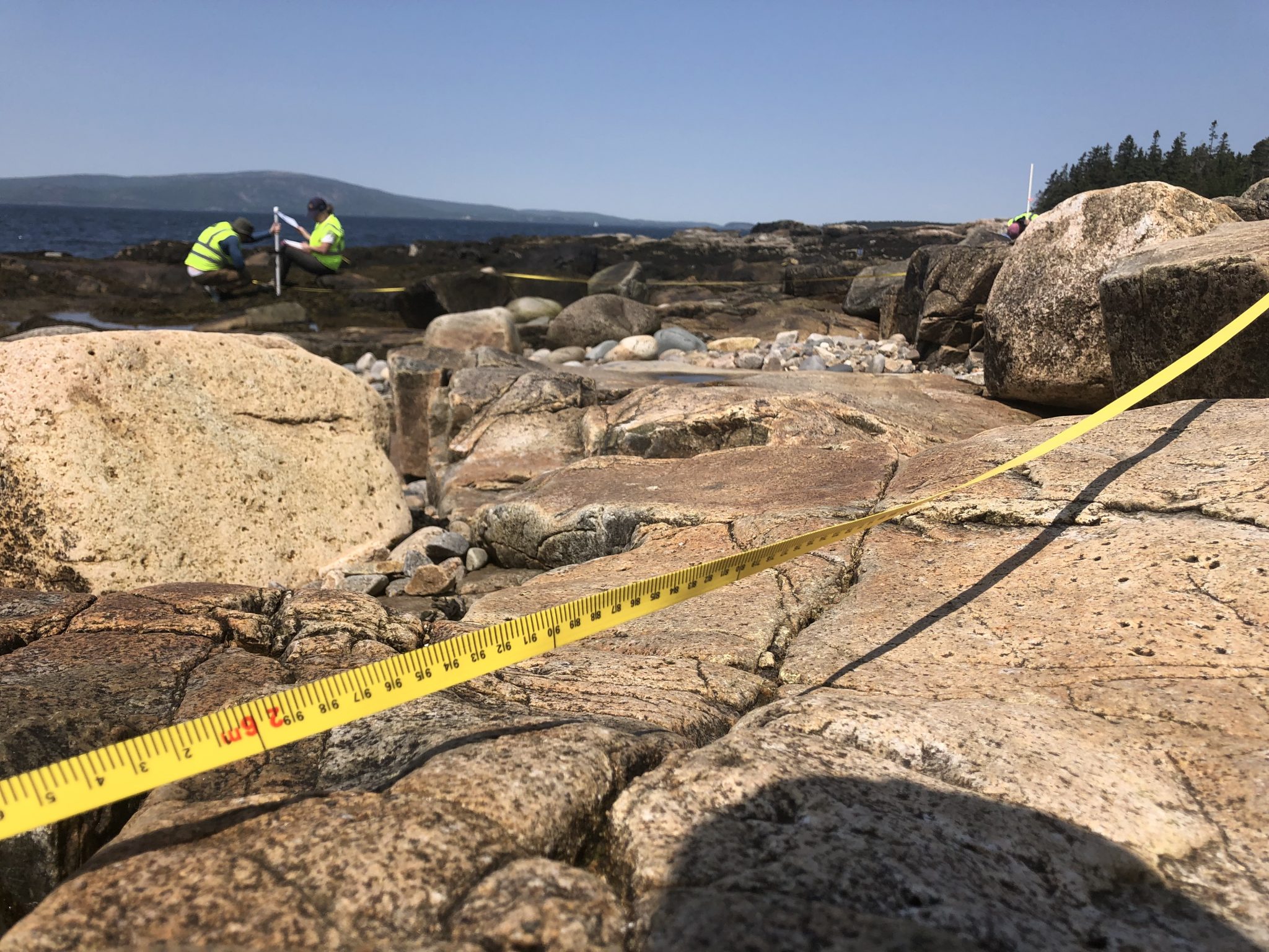 A day in the field with Earthwatch | Schoodic Institute