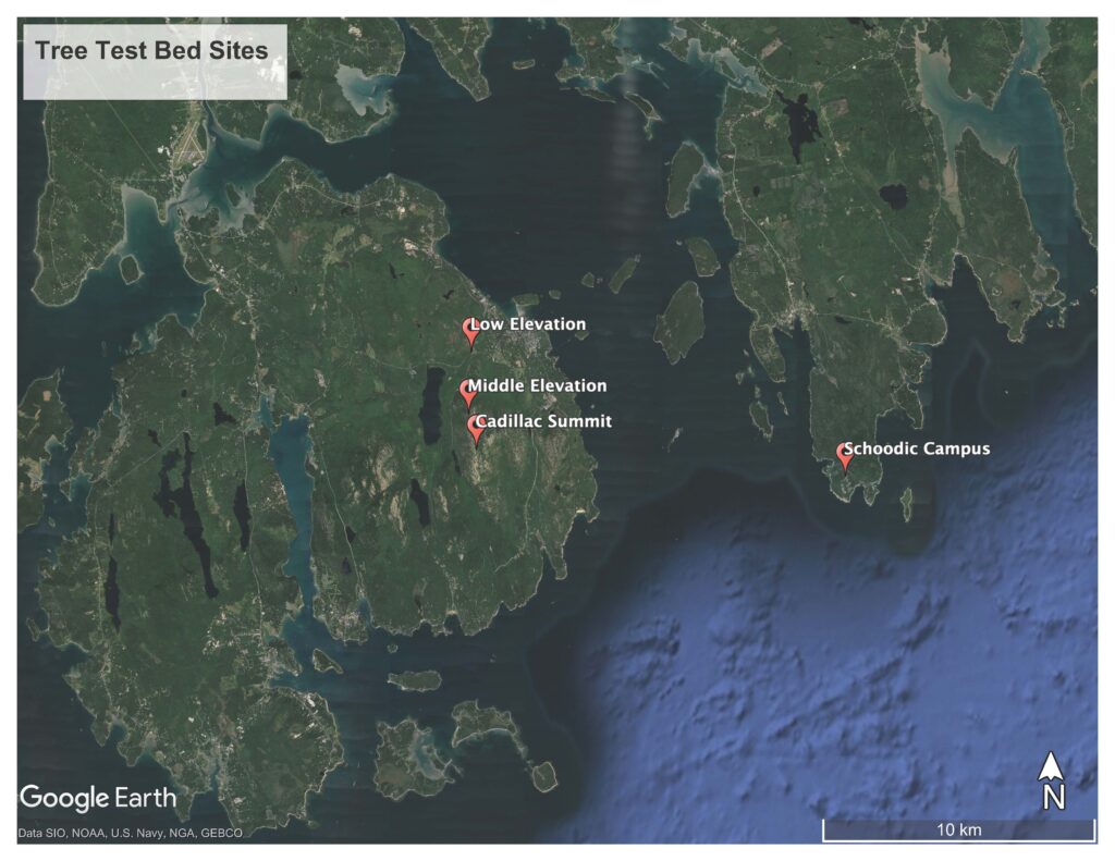 Tree Test Beds | Schoodic Institute