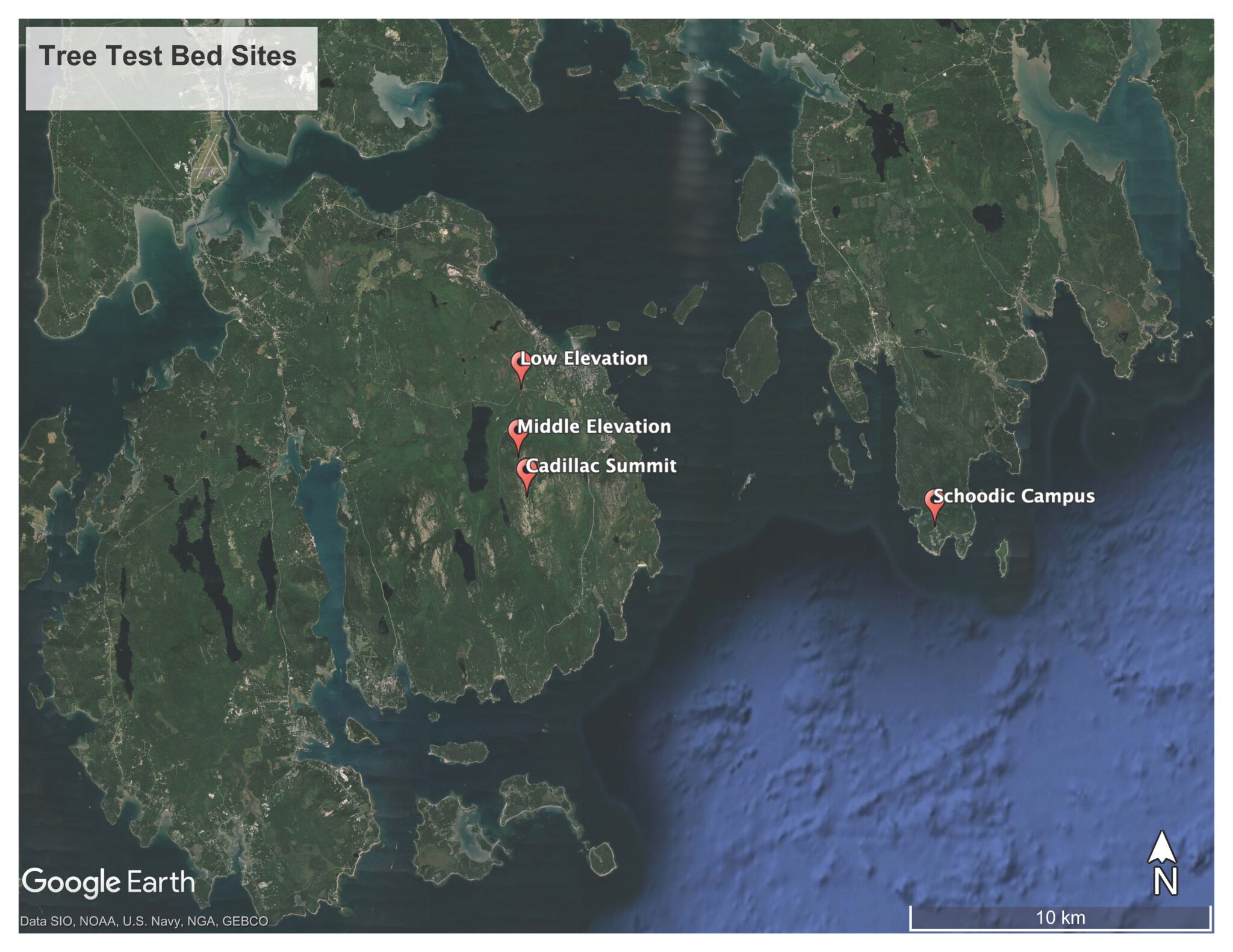 Tree Test Beds | Schoodic Institute