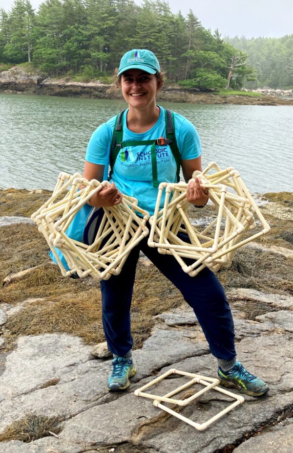 Schoodic Institute Intern Talk Series | Schoodic Institute