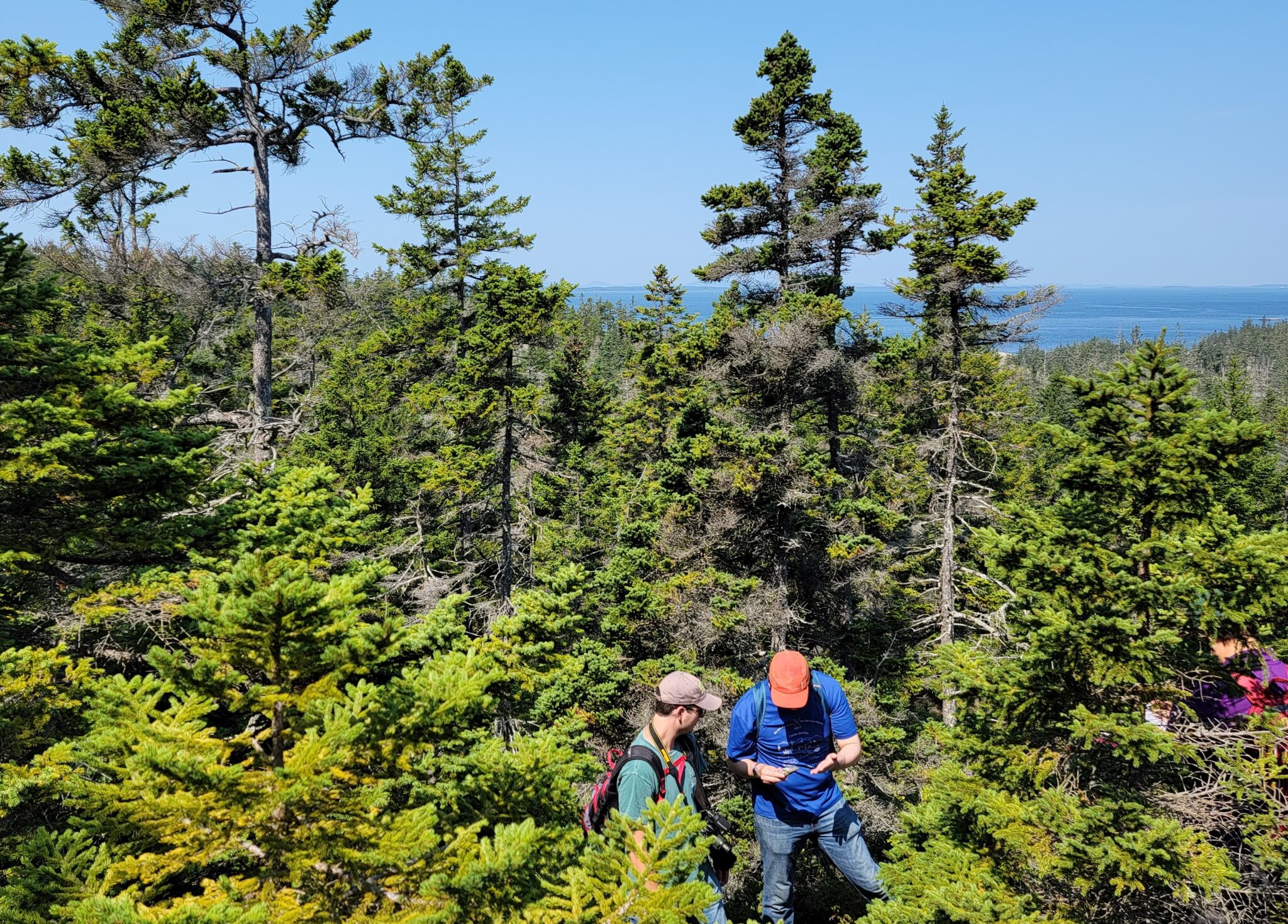 Second Century Stewardship seeks proposals for research in Acadia ...