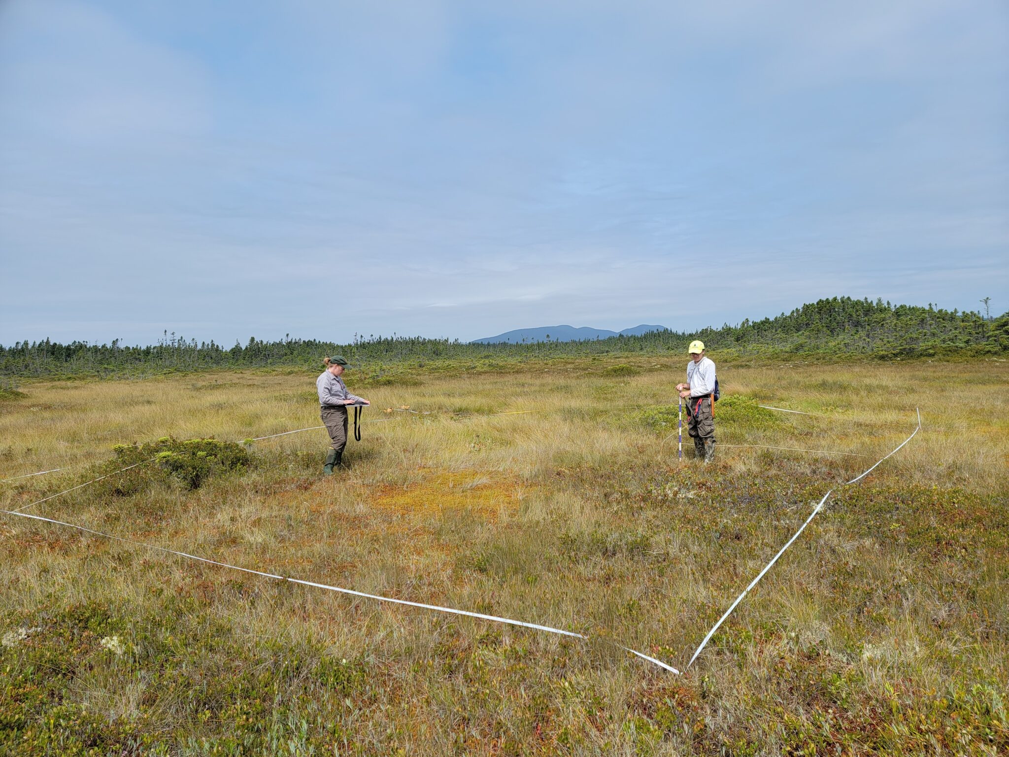 Research in Acadia: Year in Review | Schoodic Institute