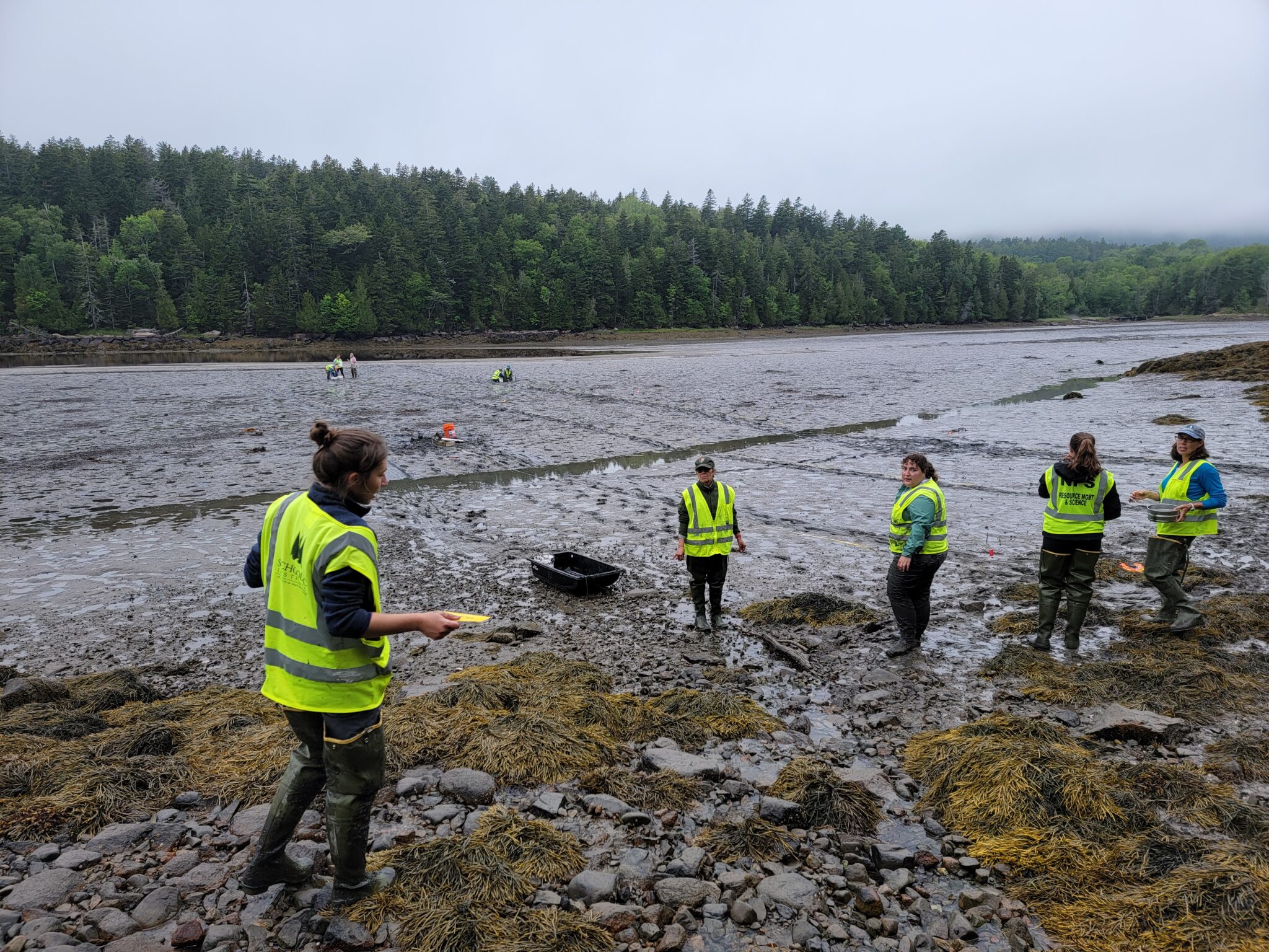 Job Openings for Ecology Field Technicians | Schoodic Institute