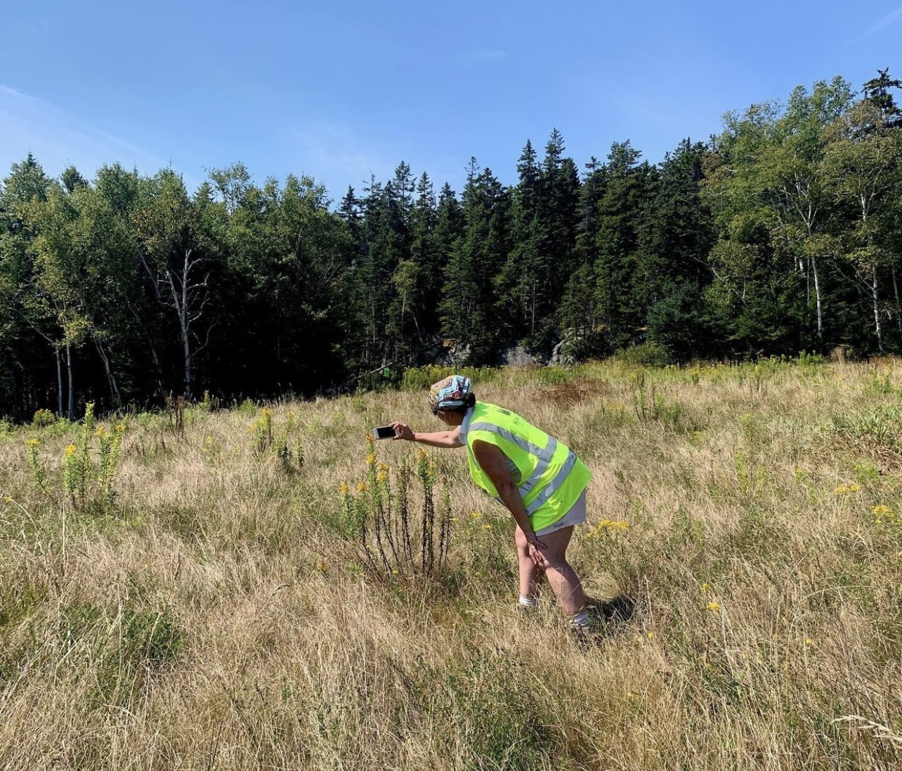 Getting to know the sounds and stories of Acadia | Schoodic Institute