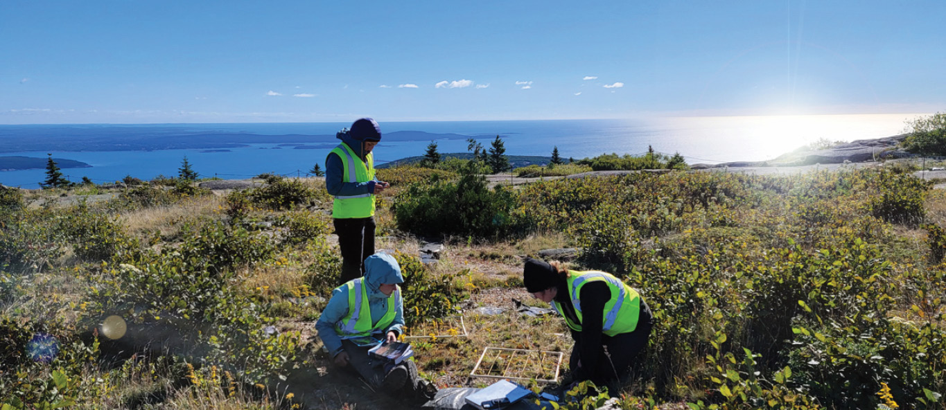 Jobs, internships, and fellowships for early career scientists ...