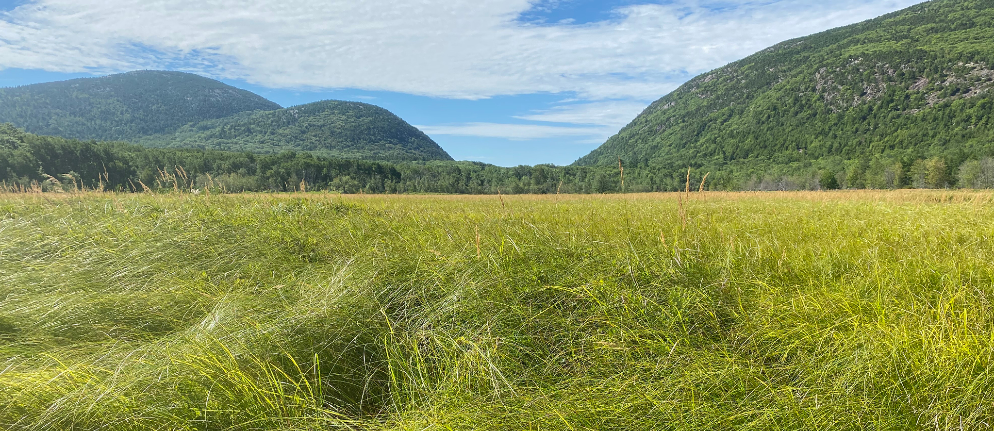 Acadia National Park encourages public comment on environmental ...