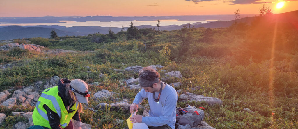 Acadia Science Fellowship | Schoodic Institute