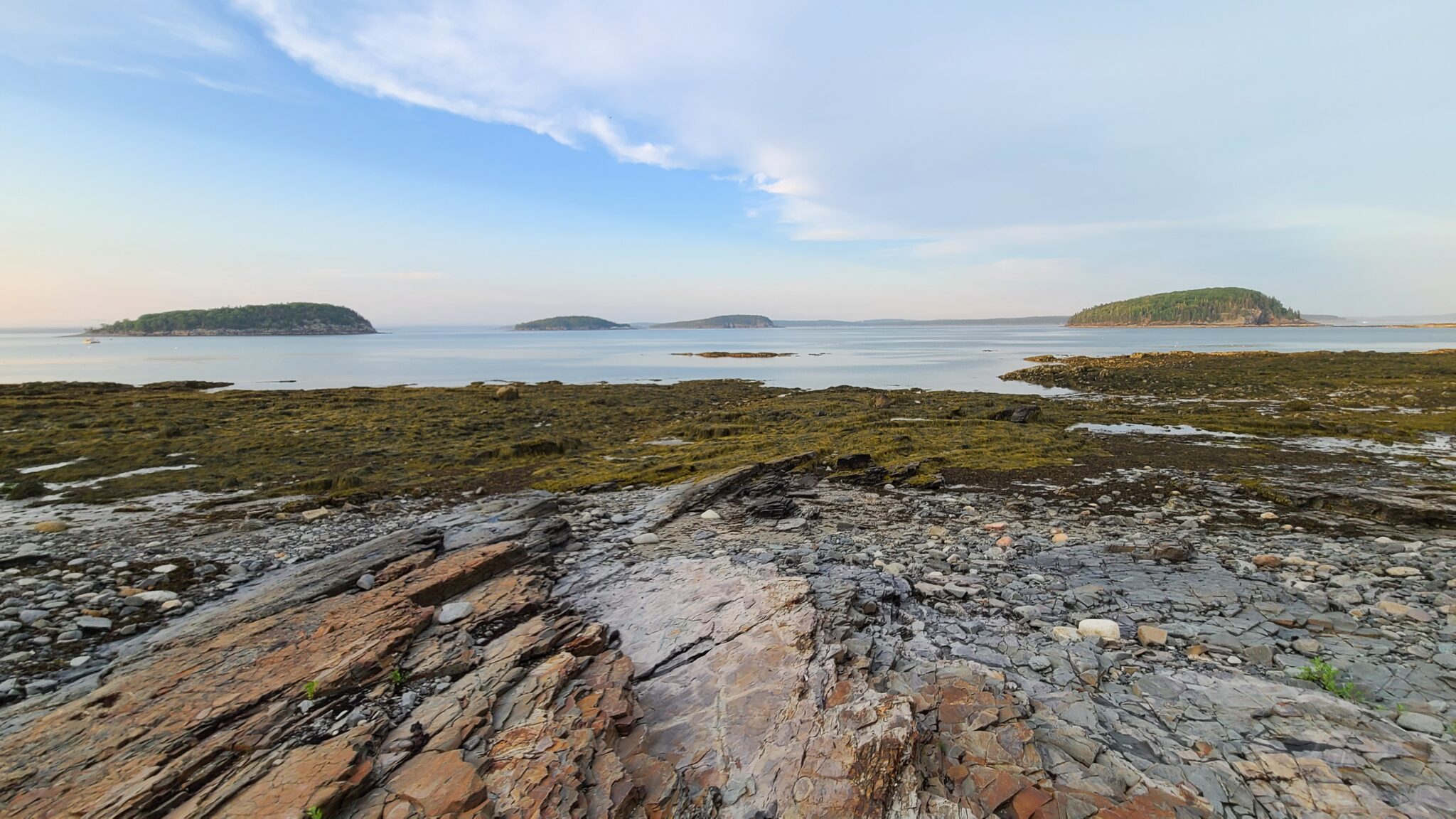 Acadia Science Fellowship Request for Proposals for Research 2025 ...