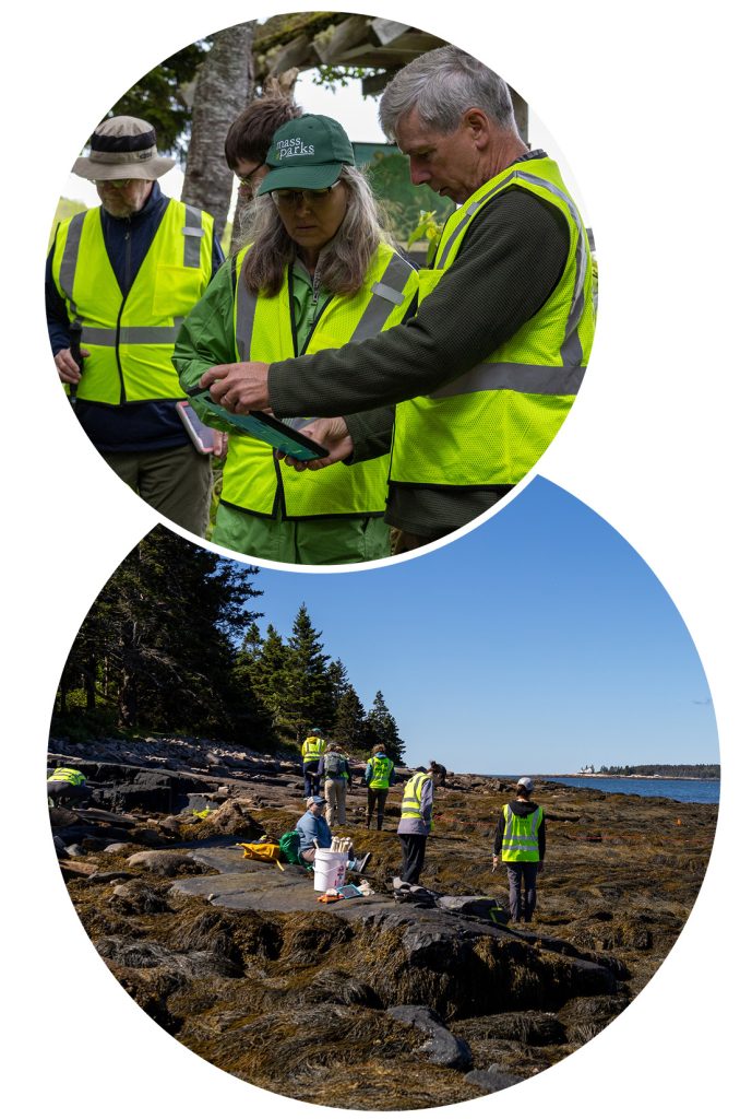 Hands-on Participatory Science Workshop Offered March 4-6 | Schoodic ...