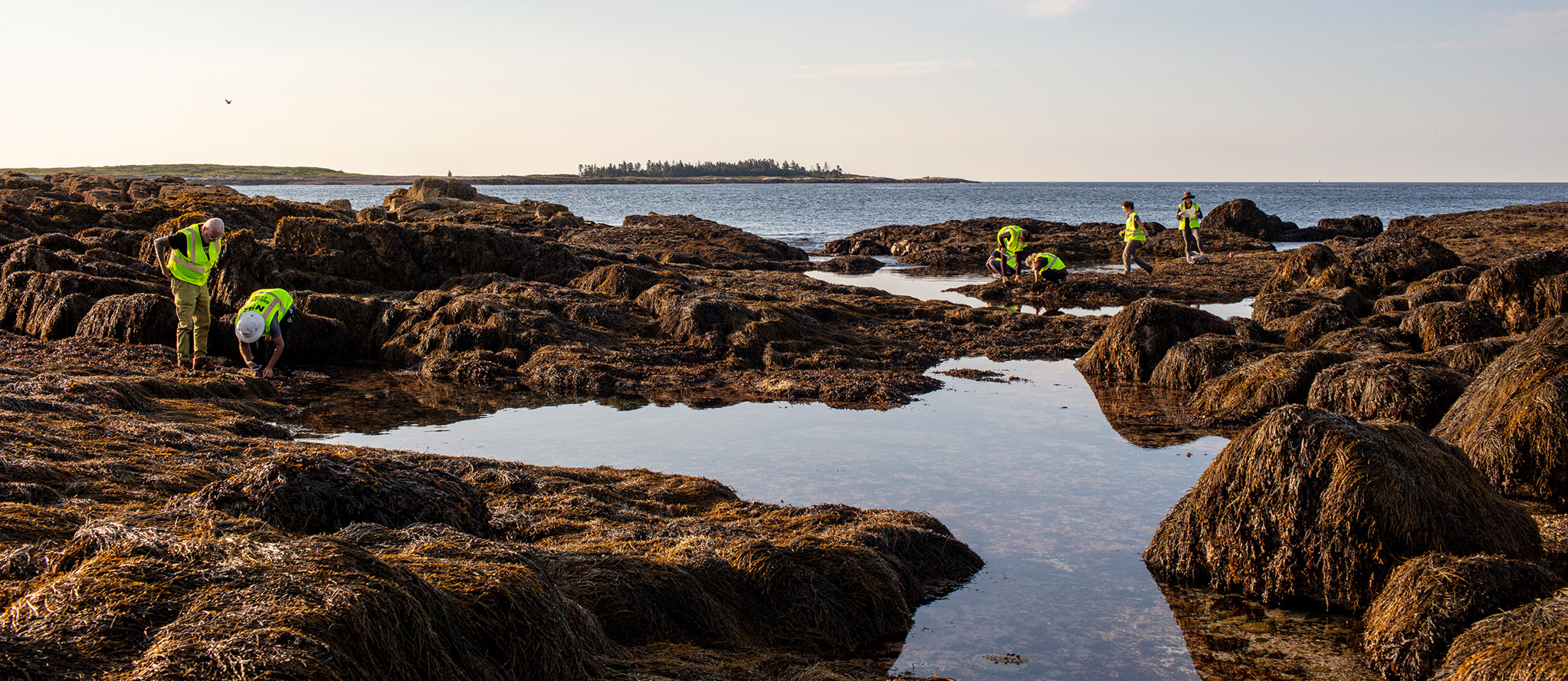 Conducting Research in Acadia | Schoodic Institute
