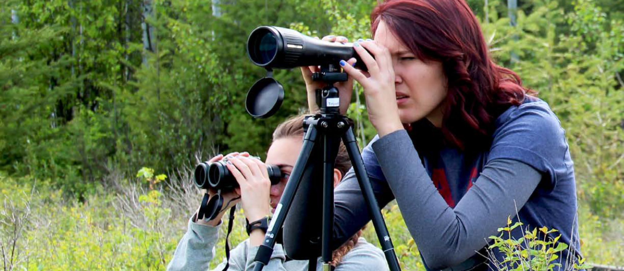 Interagency Citizen Science Toolkit | Schoodic Institute