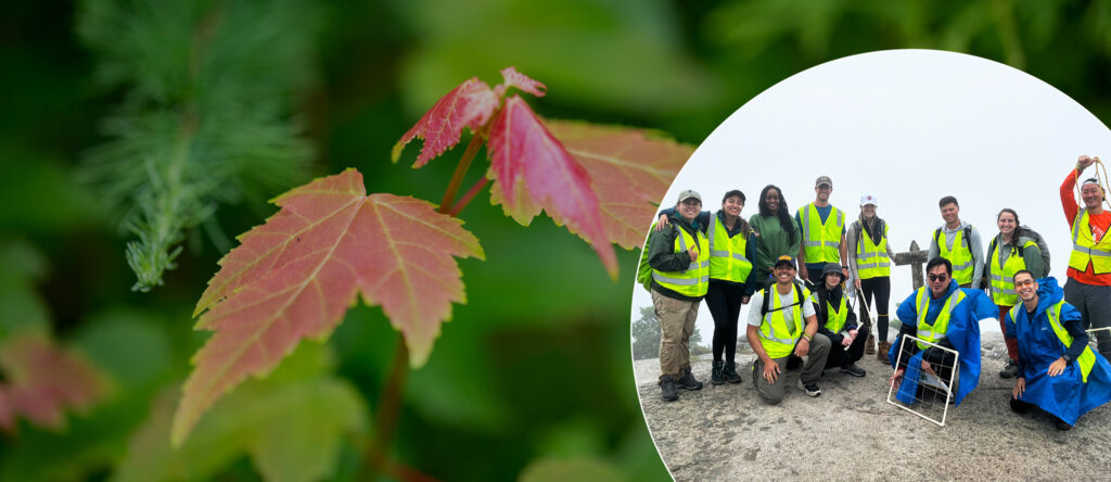 Your Support Matters! | Schoodic Institute